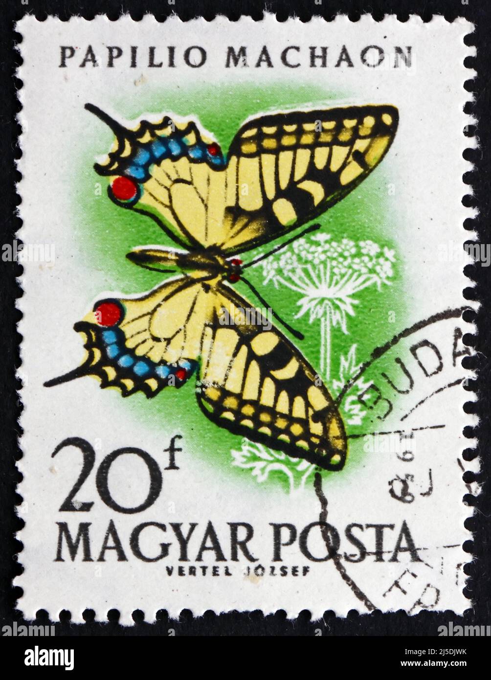 HUNGARY - CIRCA 1959: a stamp printed in the Hungary shows European ...