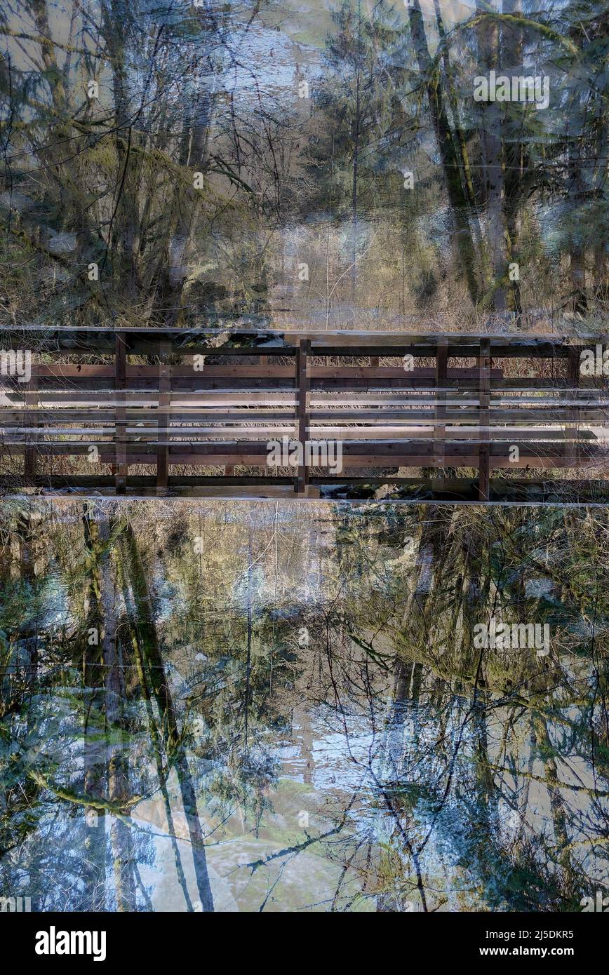 Seeing double: In-camera double exposure superimposes upside down image ...