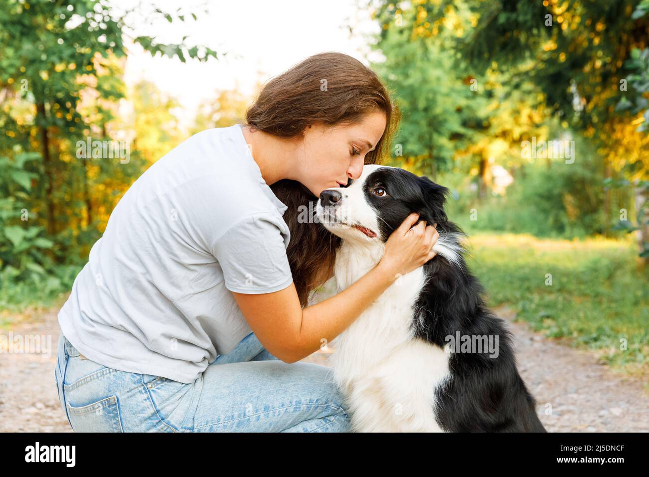 Young attractive woman playing with cute puppy dog border collie on ...