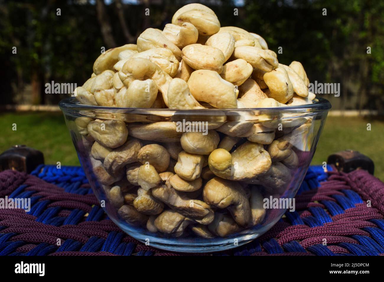 Asian cashew fruit hi-res stock photography and images - Alamy