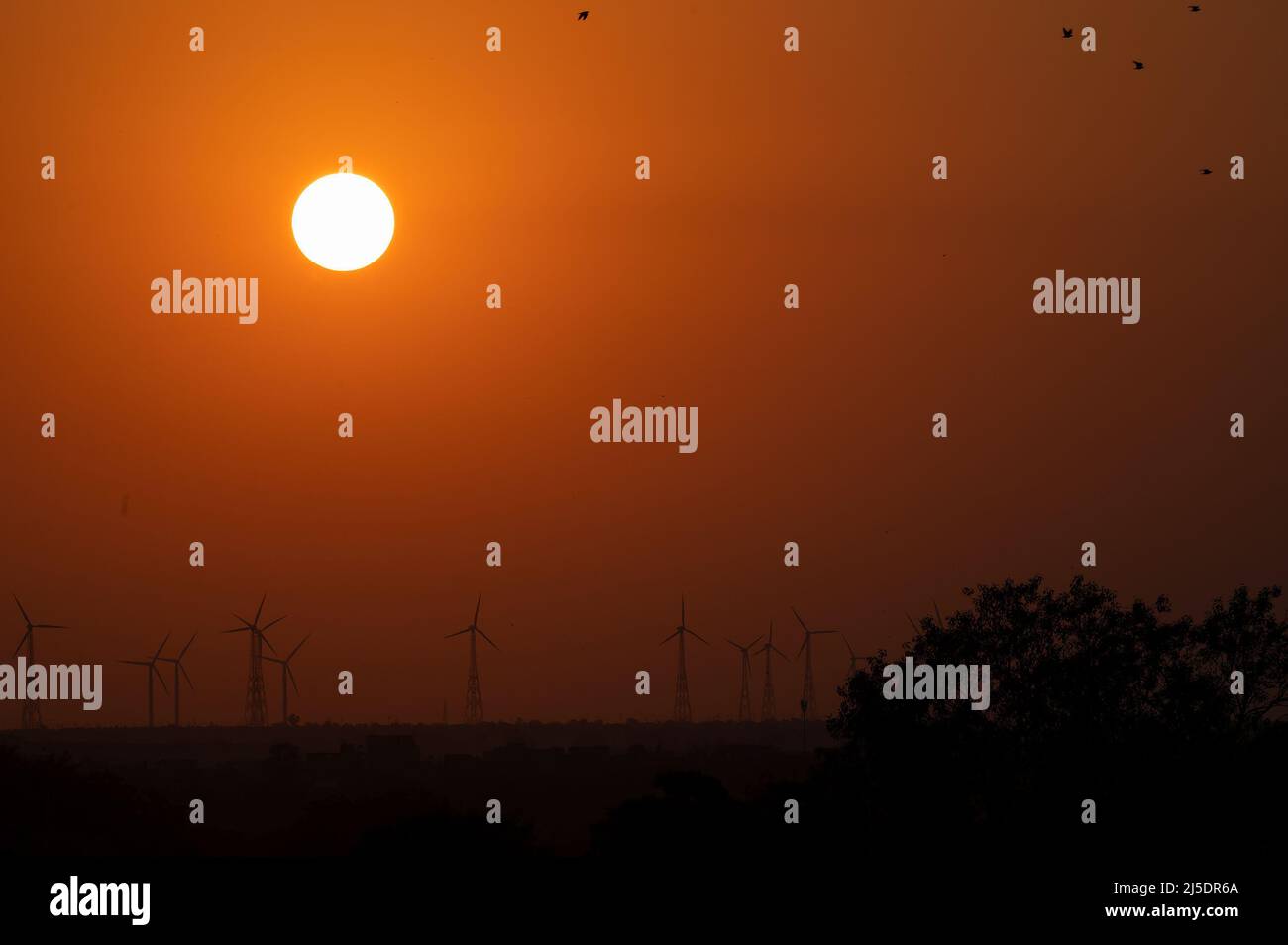 Sun rising on Thar desert, Jaisalmer, Rajasthan, India. Windmills in ...