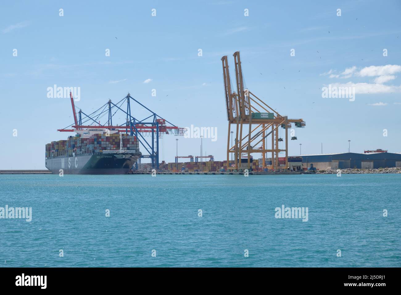 MSC container ship at port of Malaga, Andalusia, Spain Stock Photo - Alamy