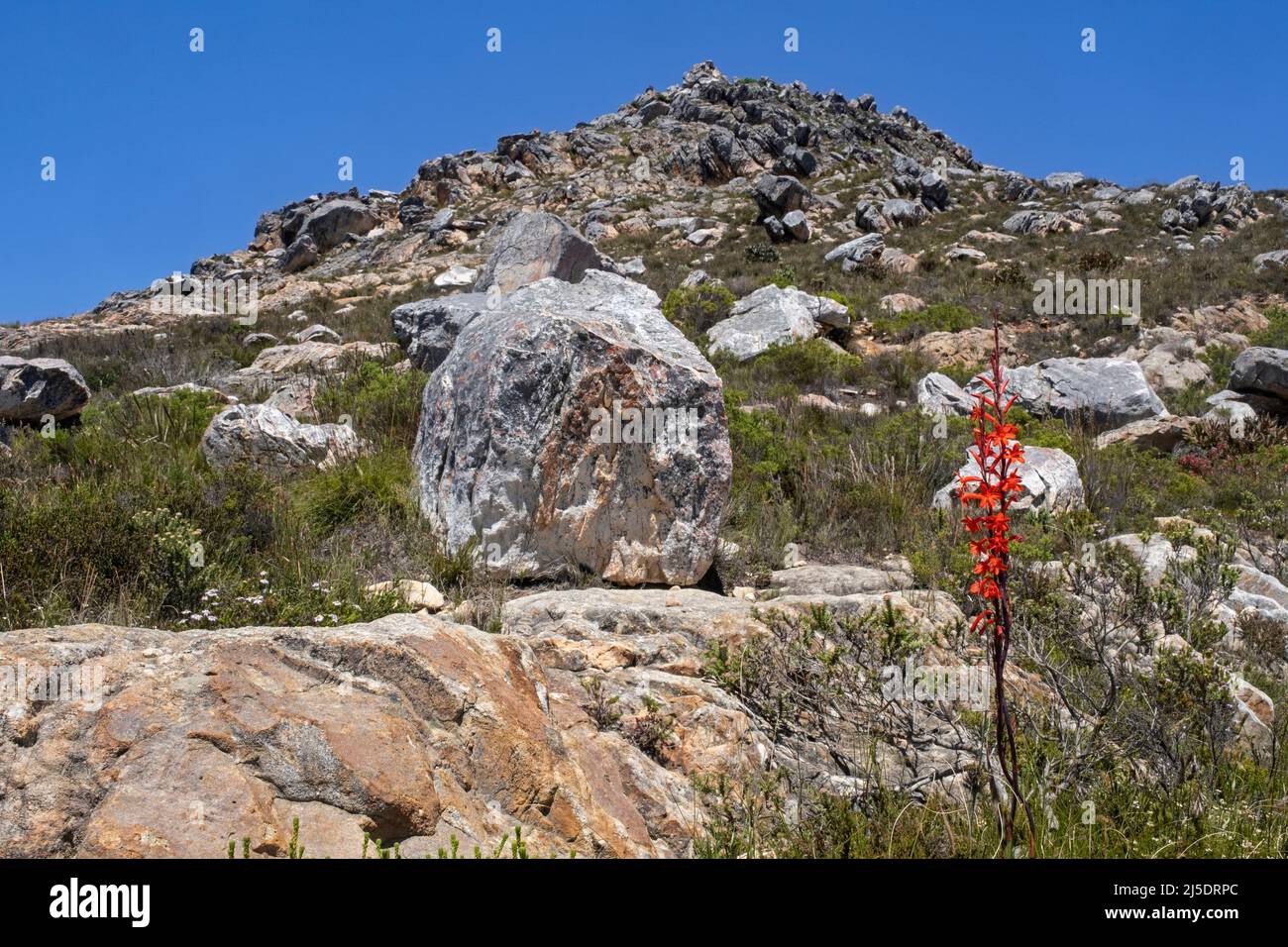 South africa swartberg pass hi-res stock photography and images - Alamy