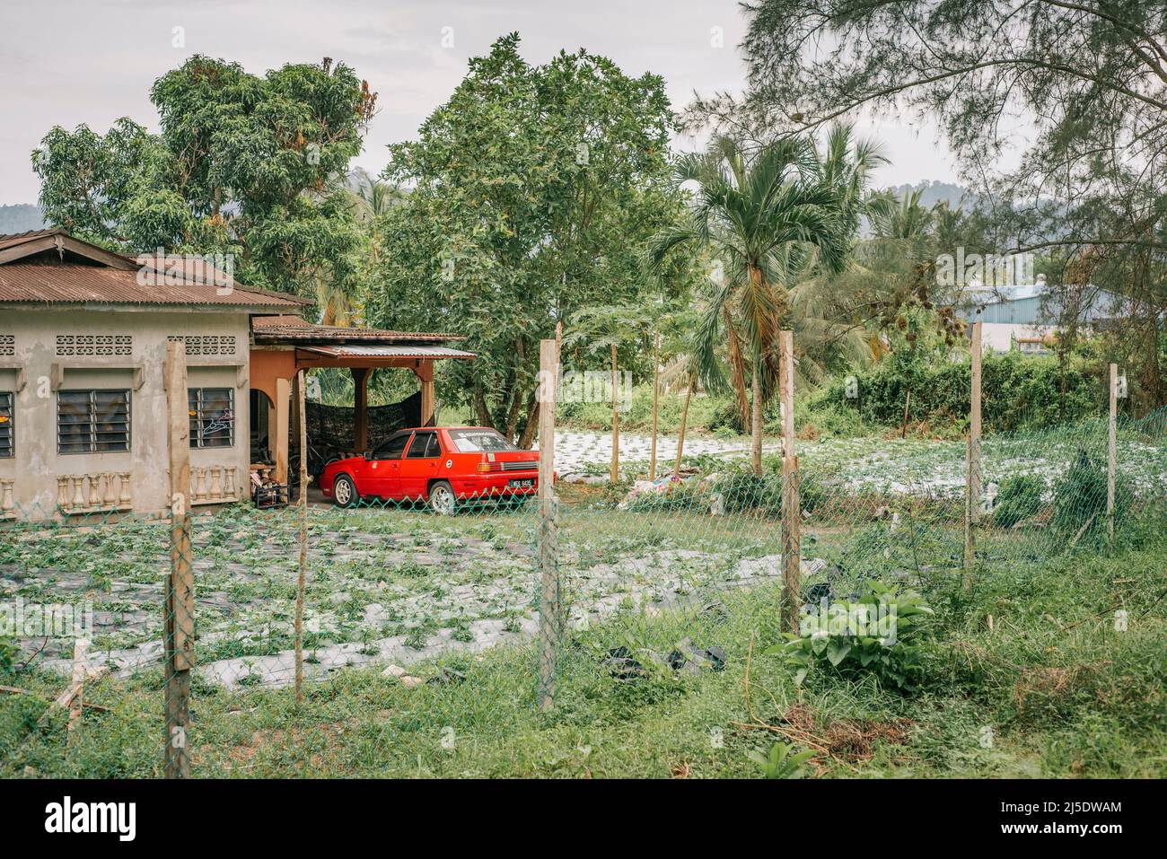 Daily life in Balik Pulau area, Southwest Penang Island District ...