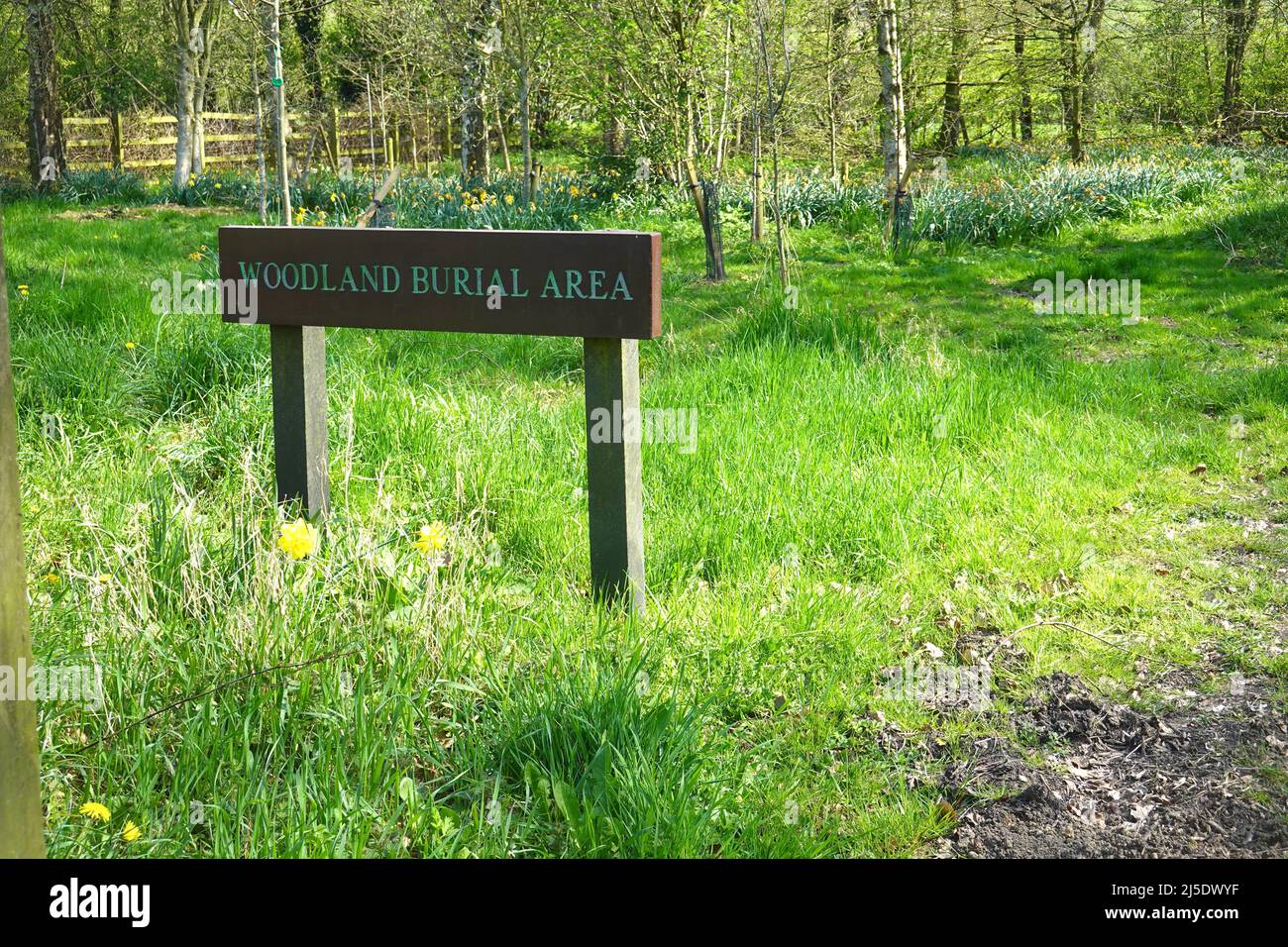 The Woodland Burial Area in Thornsett Cemetery, New Mills, Derbyshire ...