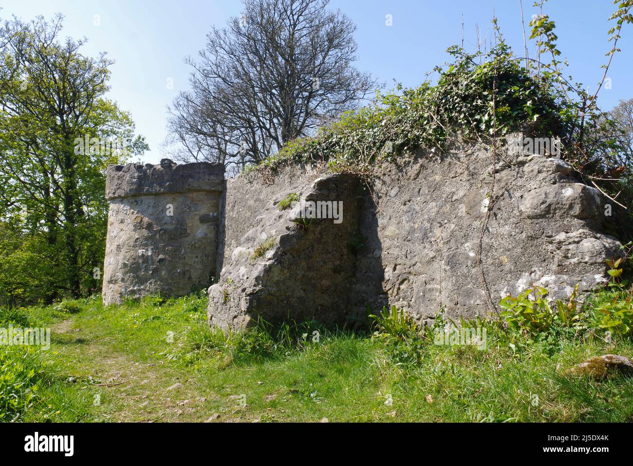 Historic motte and bailey castle hi-res stock photography and images ...