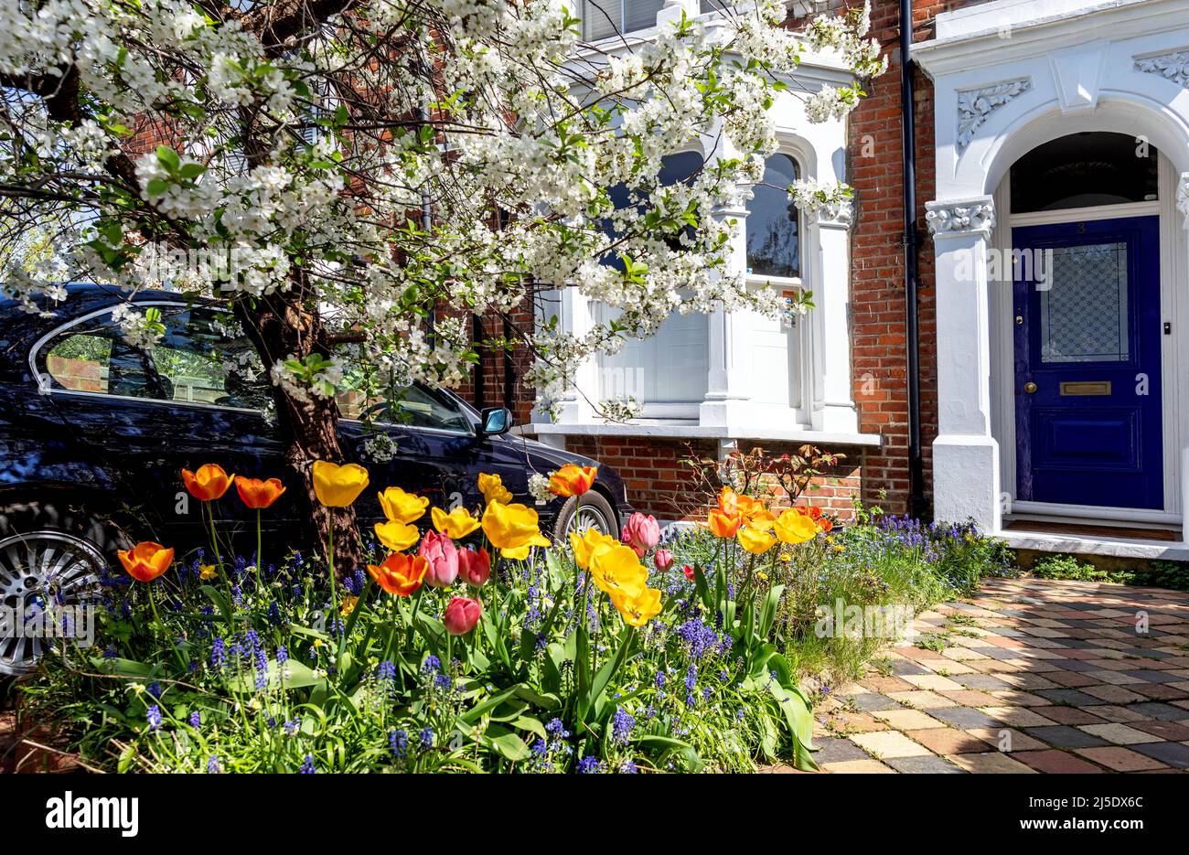 Spring Flowers in A London Garden UK Stock Photo - Alamy
