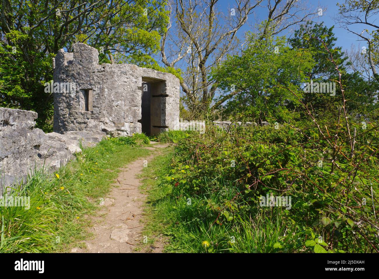 Anglesey aberlleiniog castle hi-res stock photography and images - Alamy