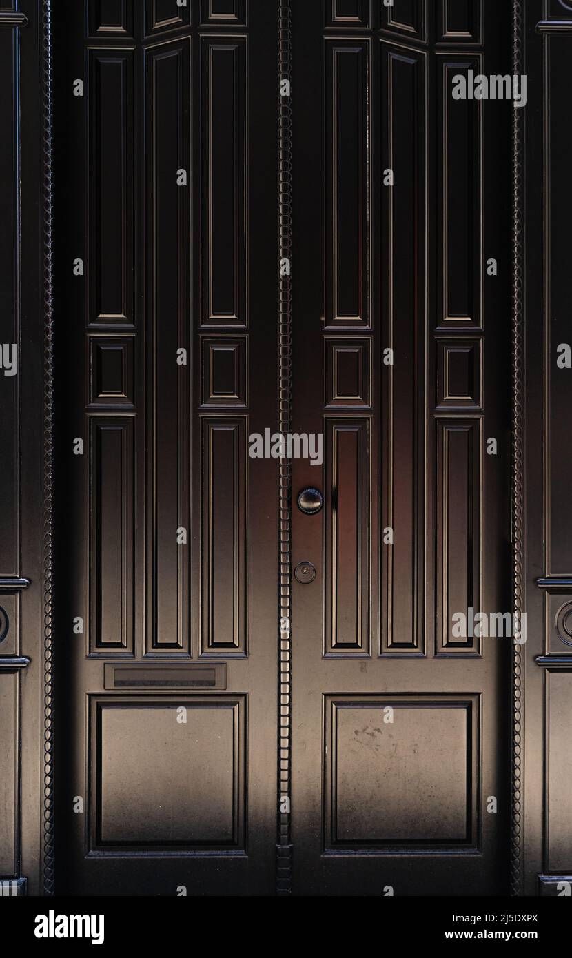 Dark Wooden Door Texture