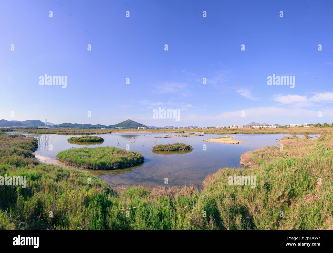 Ecological habitat hi-res stock photography and images - Alamy