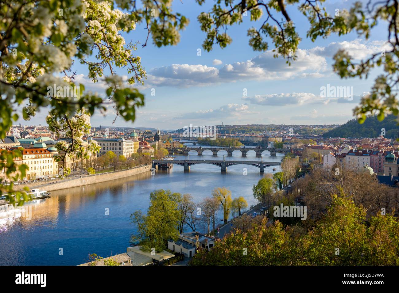 landscape with Vltava river and Charles Bridge through the foliage in ...