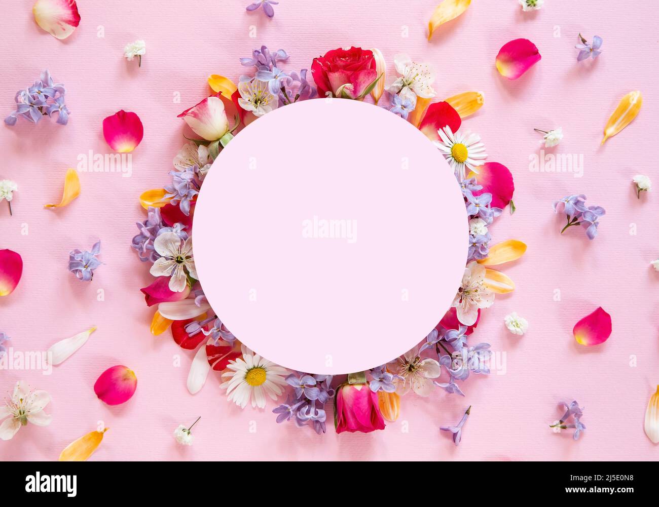 Spring flower composition with a blanck note Stock Photo - Alamy