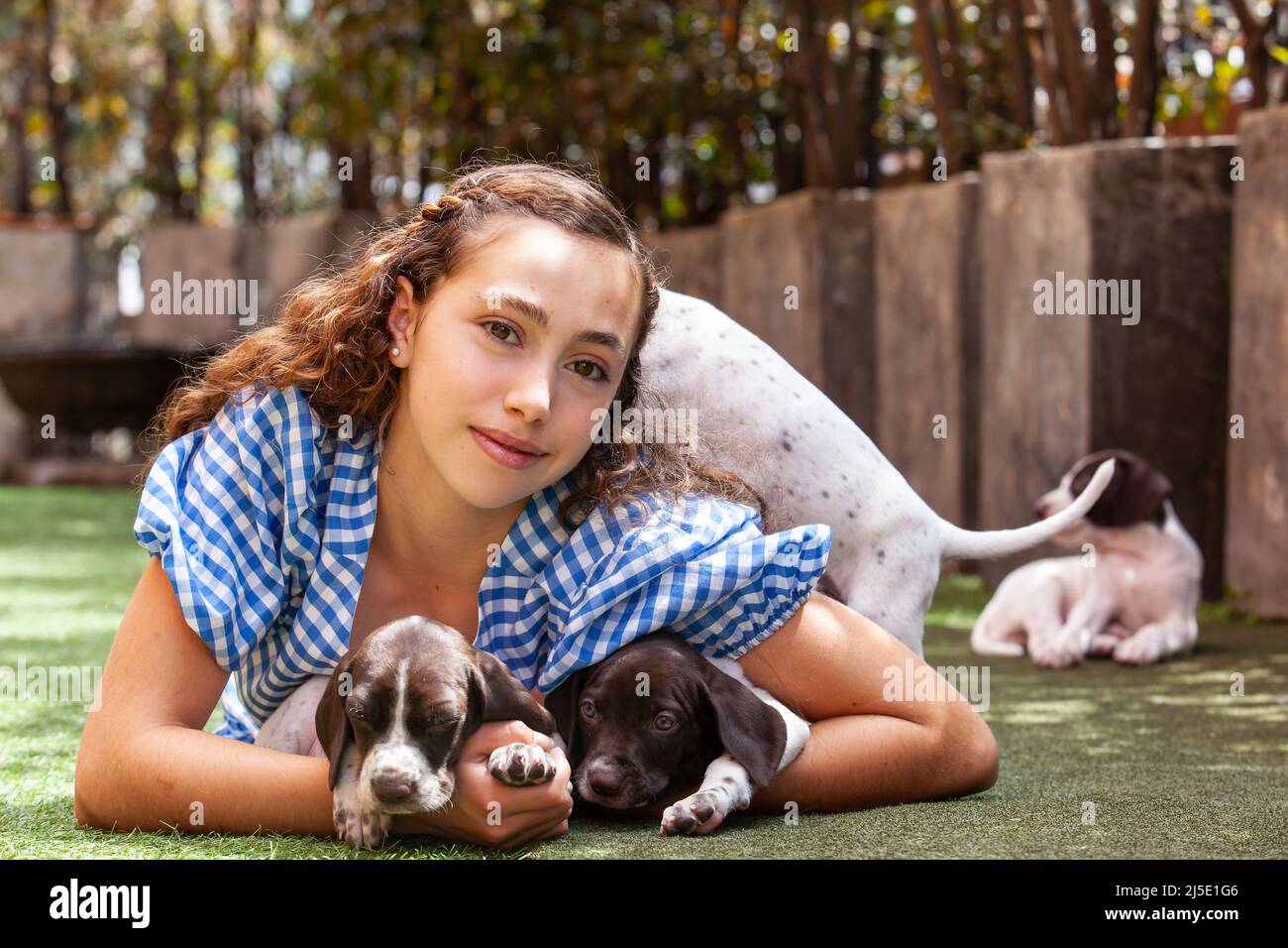 Beautiful young girl having fun with her small French Braque puppies ...