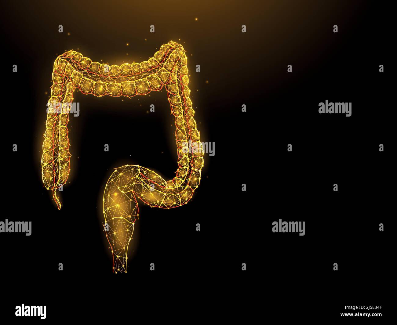 Abstraction polygonal illustration of the colon or large intestine on a ...