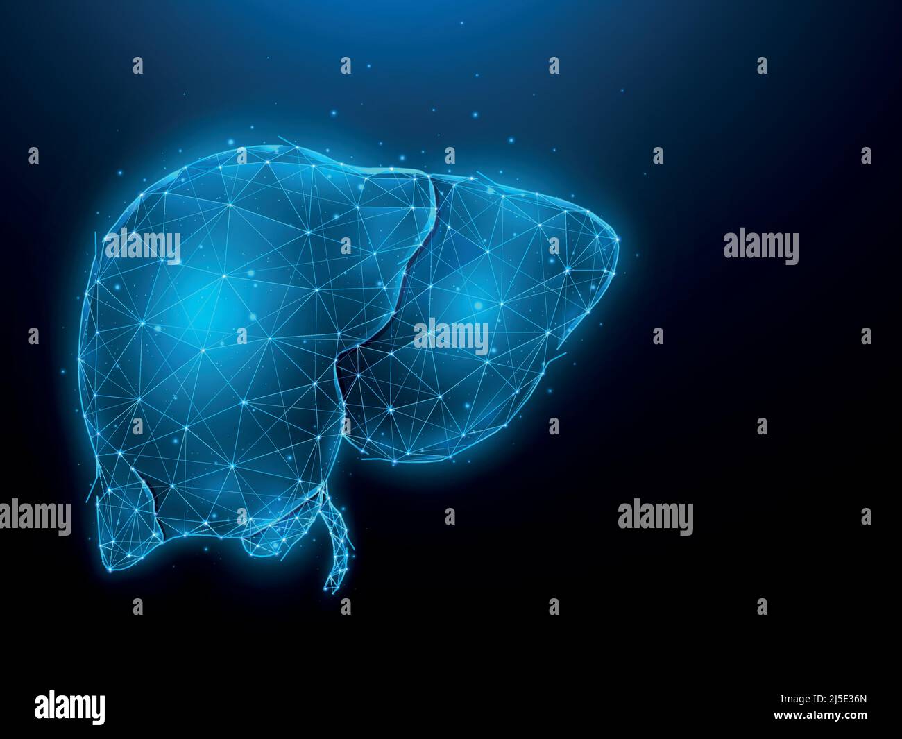 Abstract polygonal illustration of a human liver on a dark blue ...