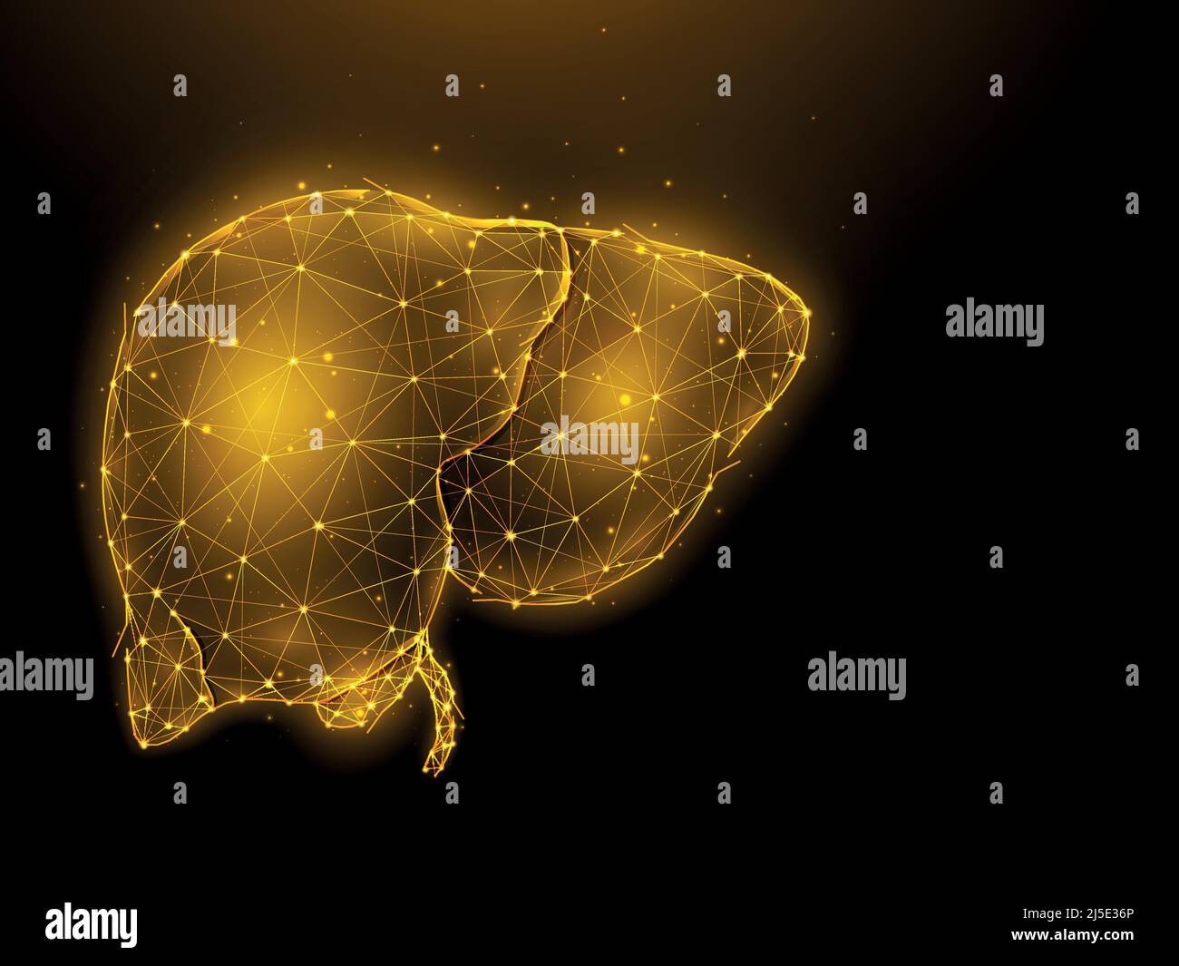 Abstract polygonal vector illustration of a human liver on a dark ...