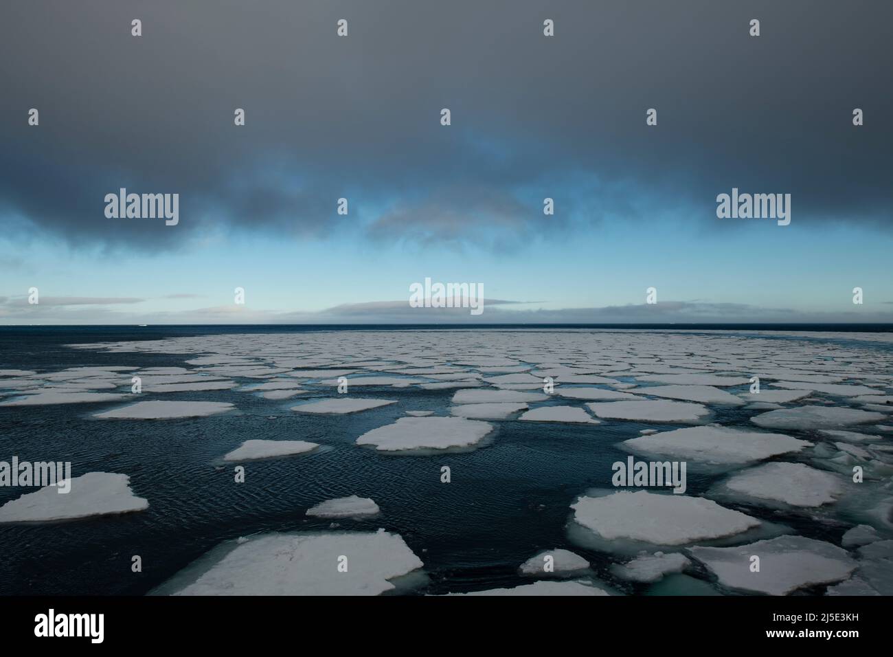Sea ice in the Barents Sea near Franz Josef Land in summer Stock Photo ...