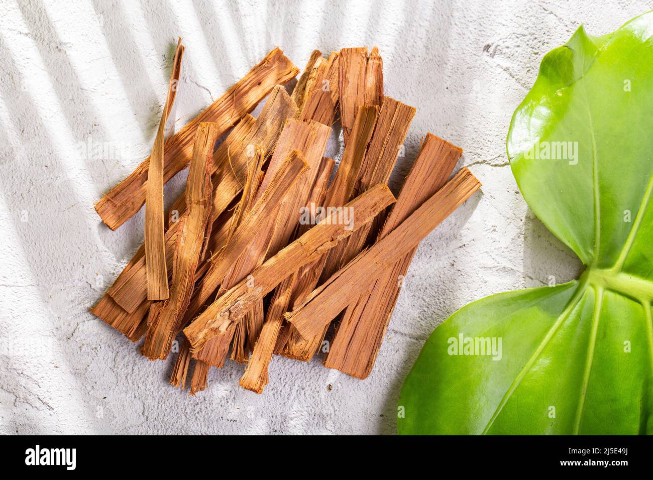 Uncaria tomentosa. Cat's claw, medicinal plant Stock Photo - Alamy