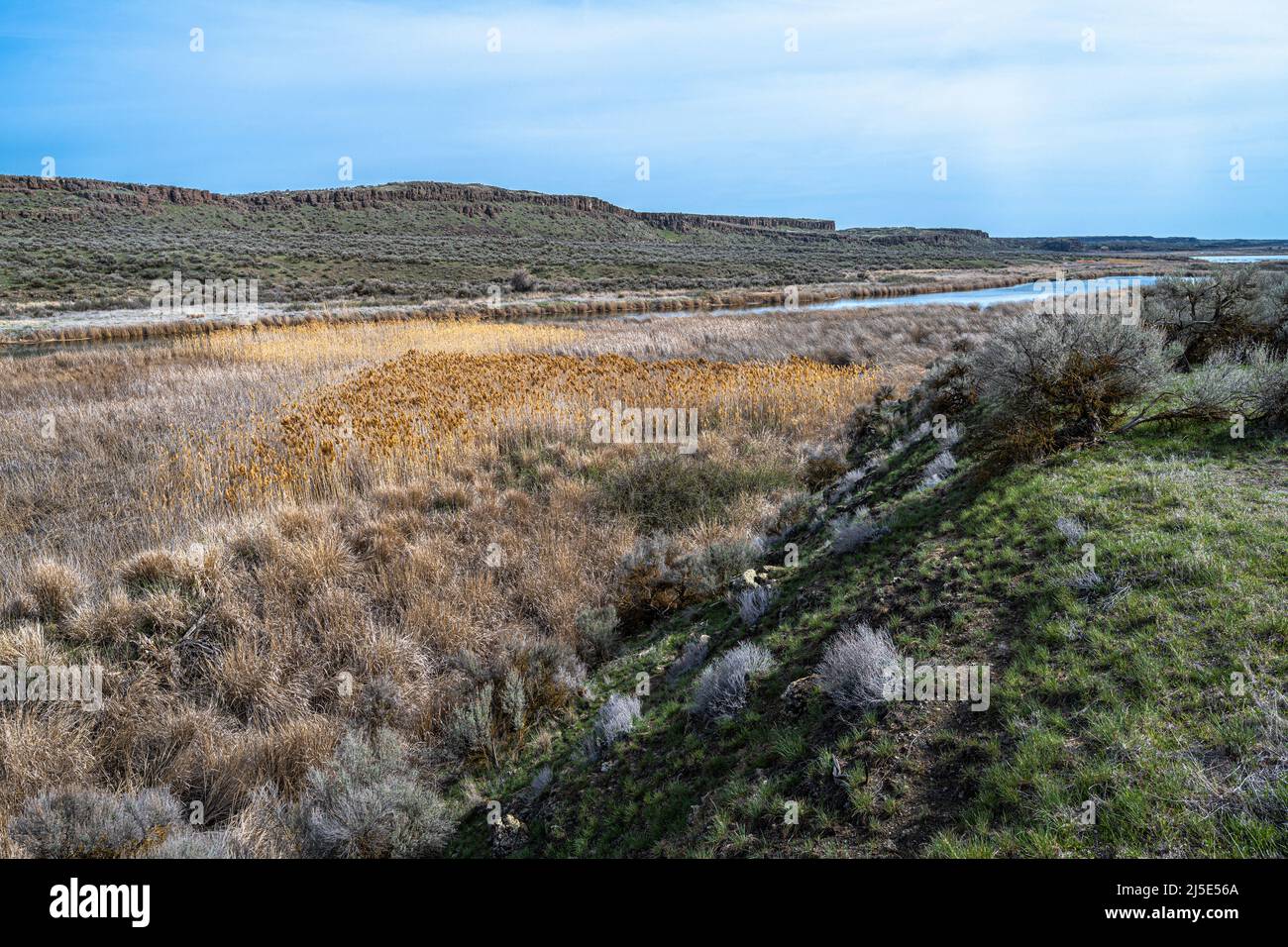 Marsh loop hi-res stock photography and images - Alamy