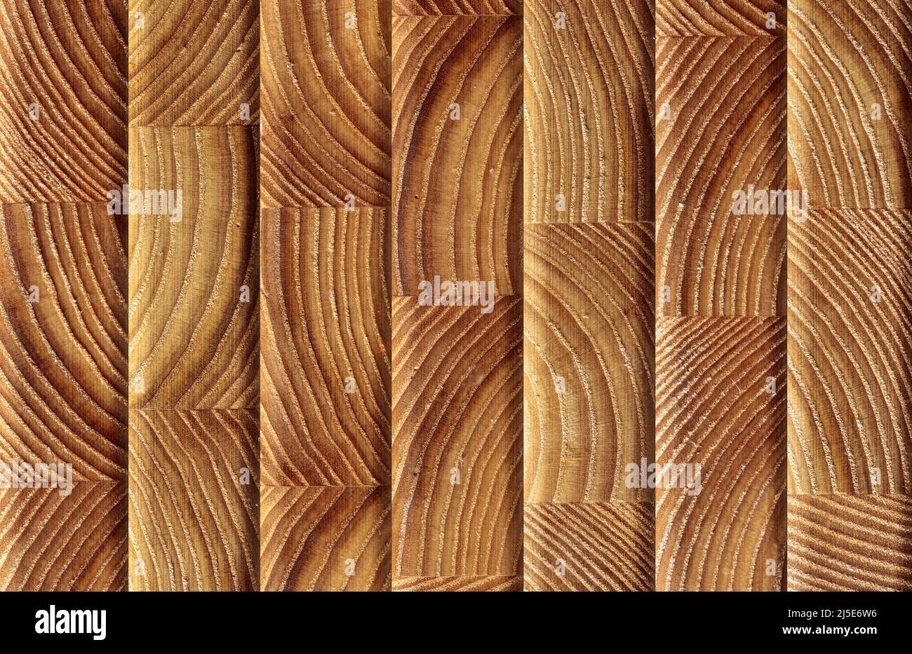 Ash tree trunk cross section hi-res stock photography and images - Alamy