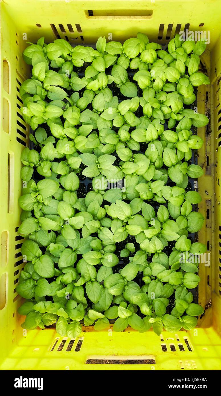 Top down view farm hi-res stock photography and images - Alamy