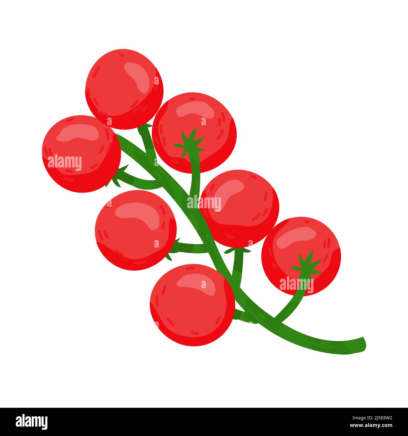 Cherry tomatoes on a branch vector illustration. Red tomato cherry in ...