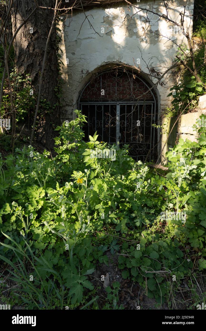 hiking through a wine cellar alley in Lower Austria Stock Photo - Alamy
