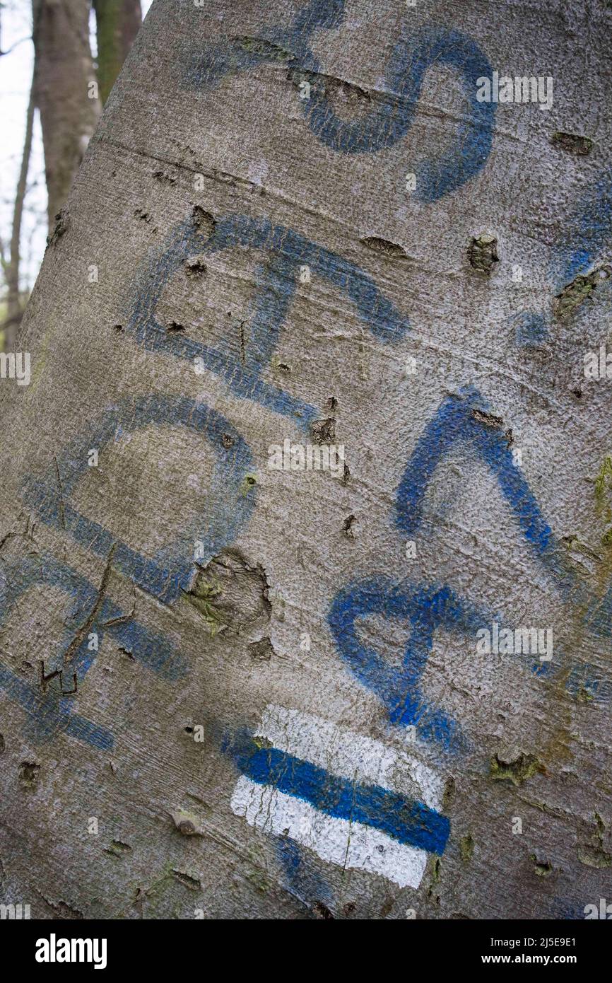 Piucture hi-res stock photography and images - Alamy