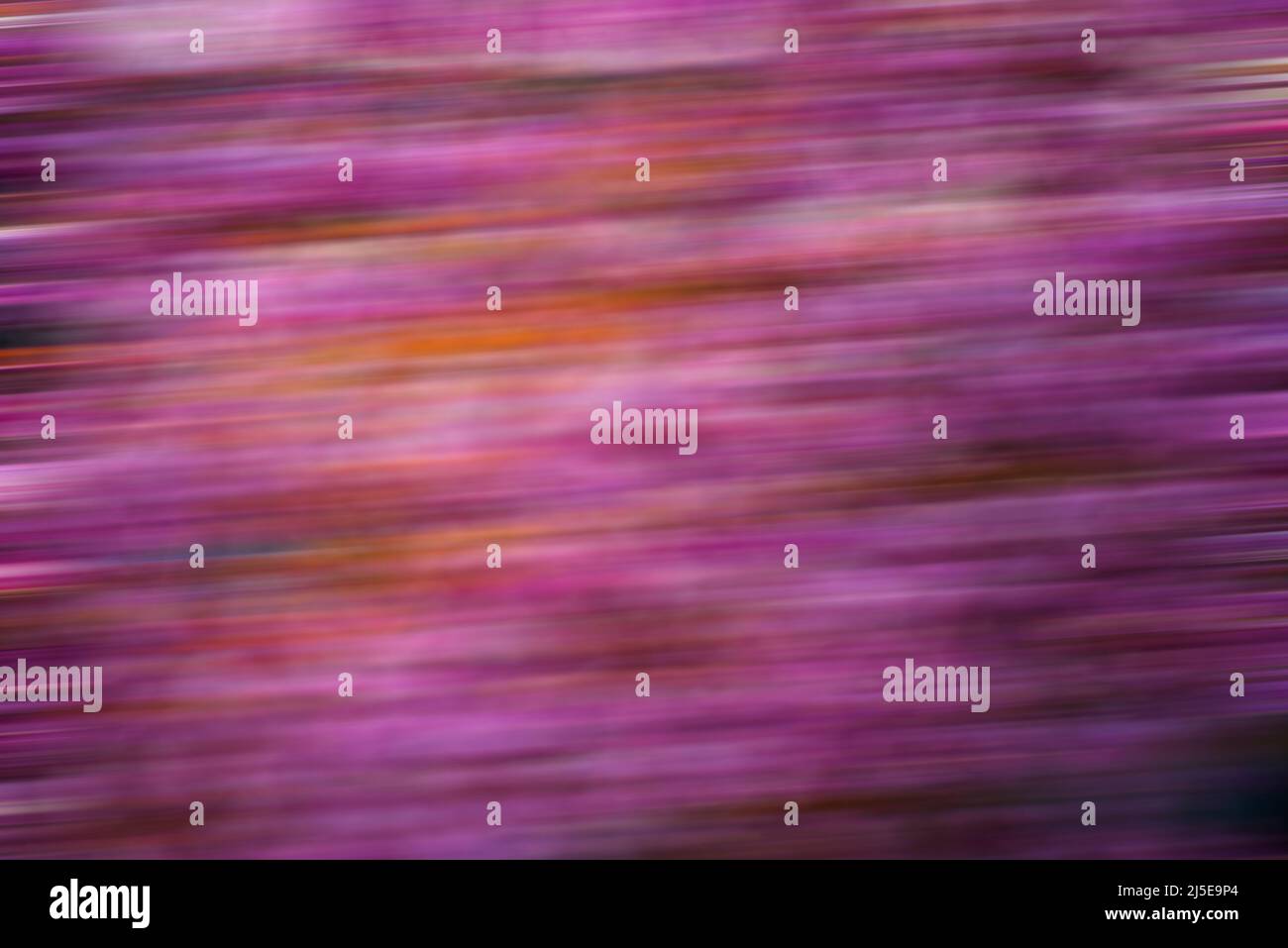 Blurred Background image in soft natural colours Stock Photo - Alamy