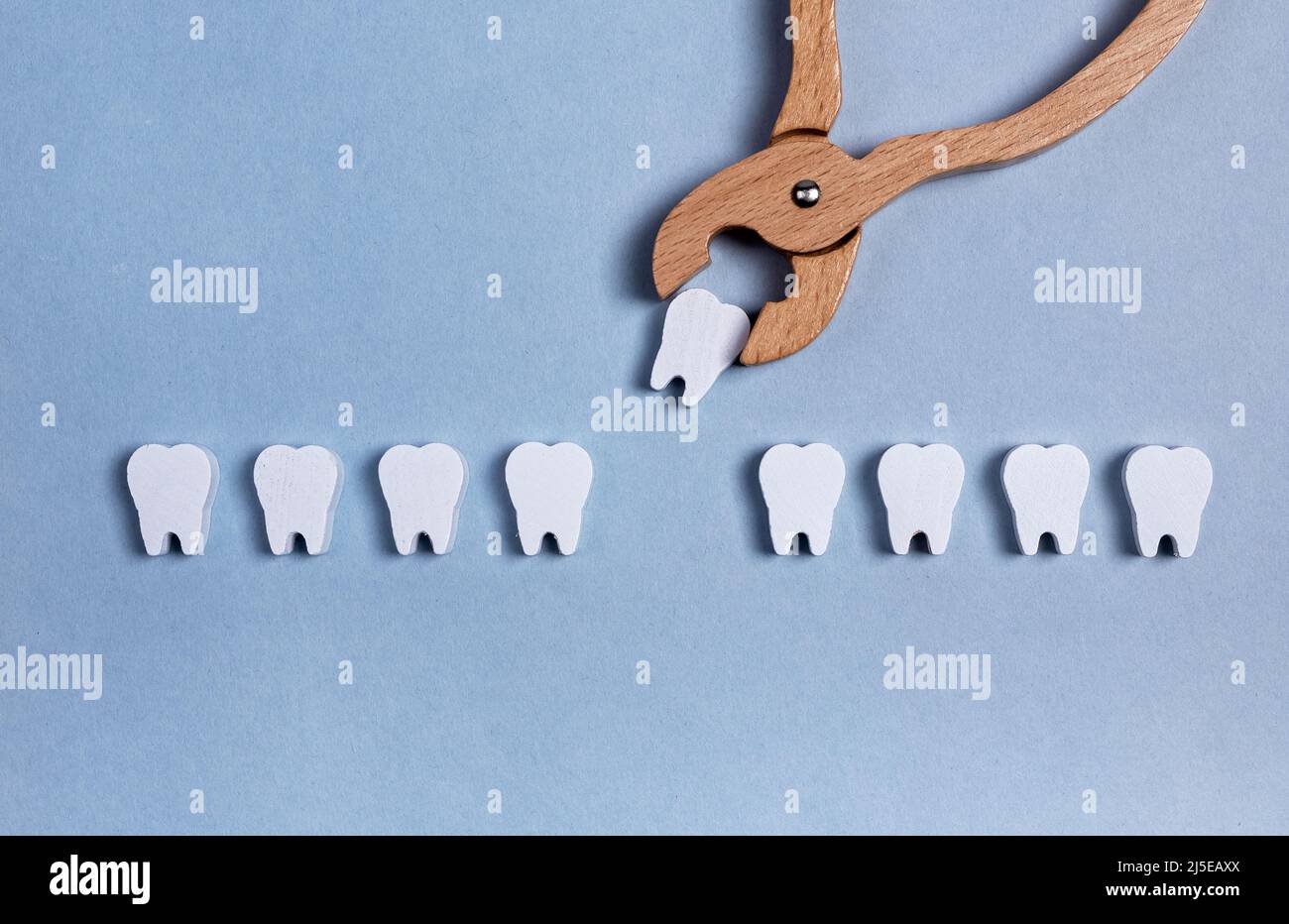 Surgical tooth extraction, removal procedure with forceps. Decayed root ...