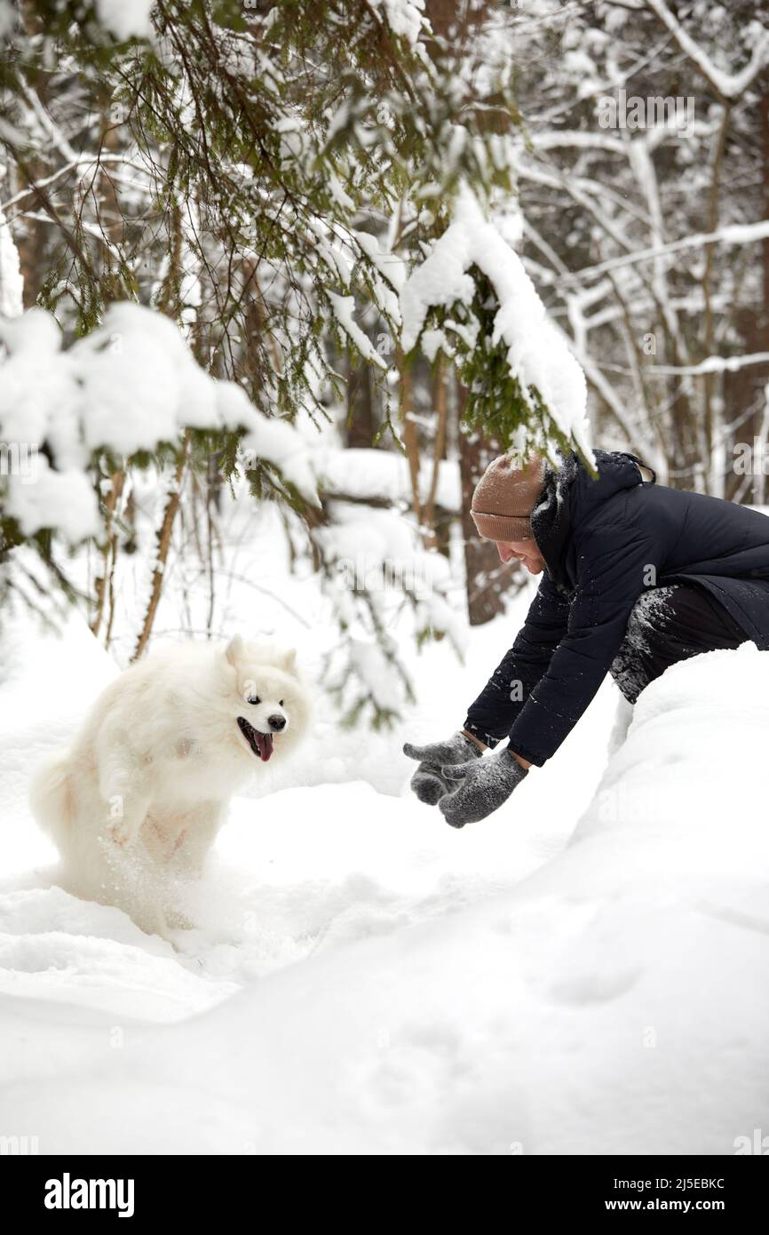 A human and a dog are best friends. Man and dog walk in snowy forest in ...