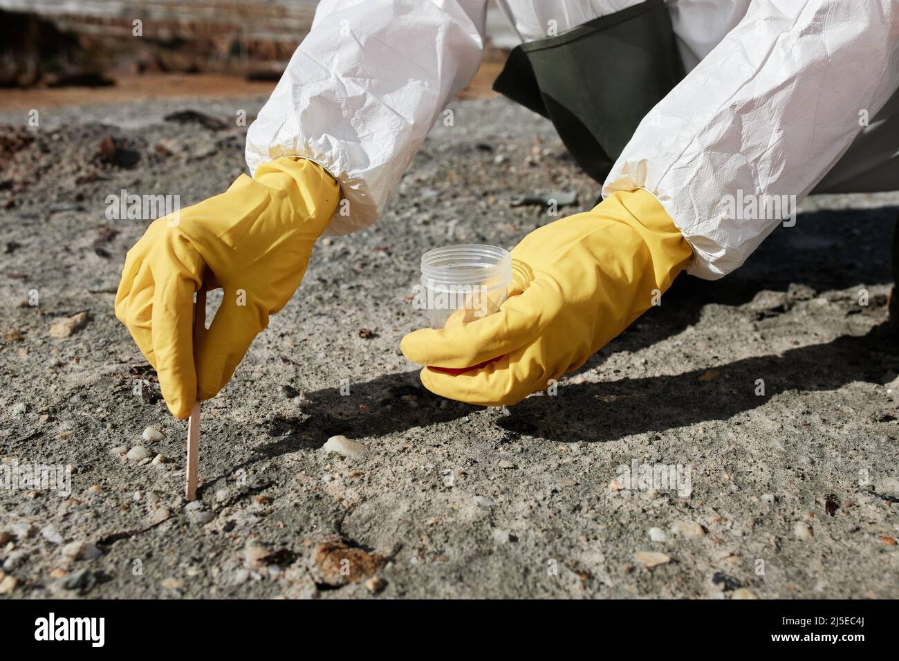 Close-up of unrecognizable soil scientist in yellow gloves using wooden ...