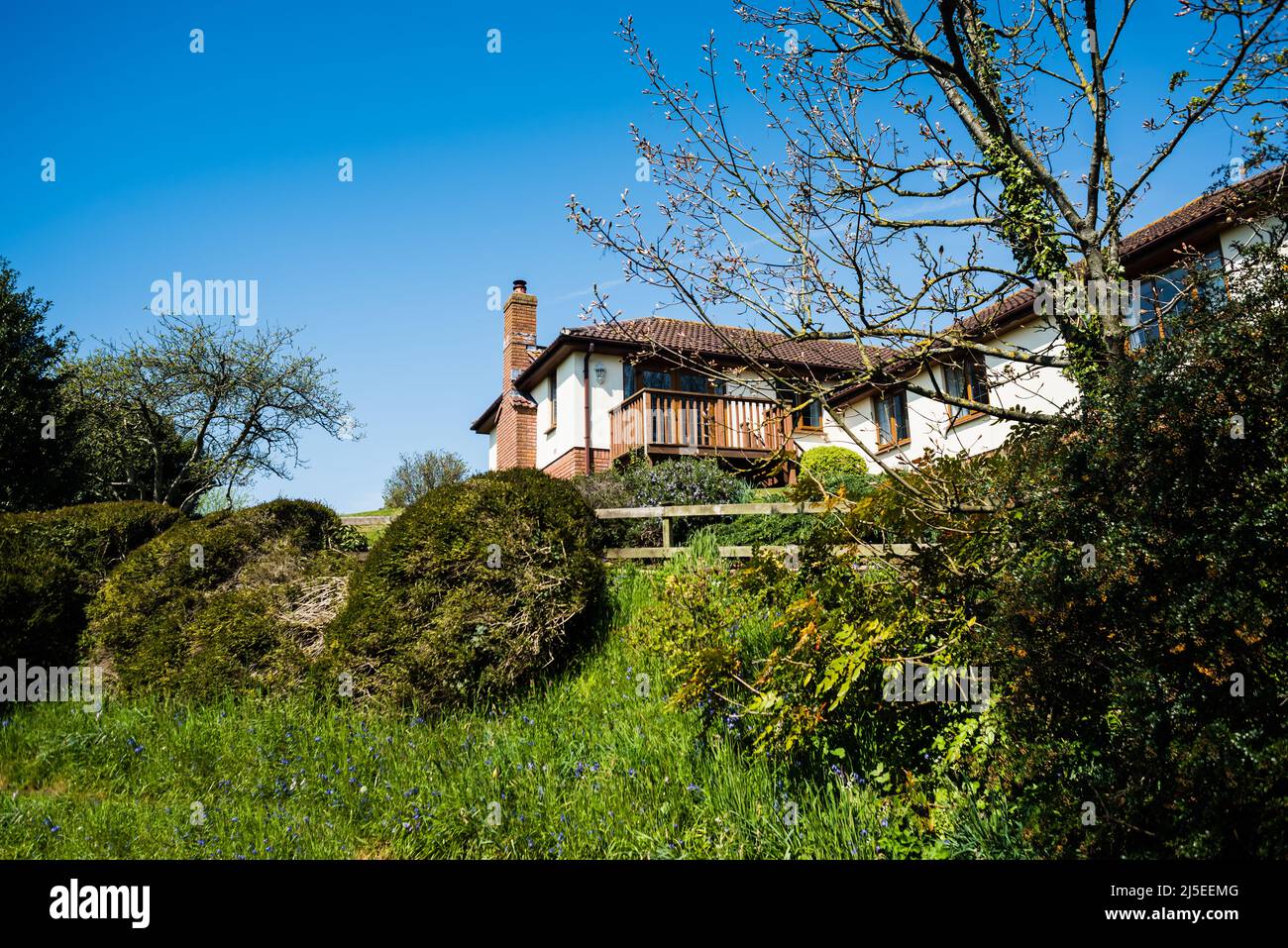 Spring in a Devon Country Garden Stock Photo - Alamy