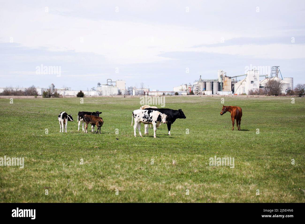 Cargill inc hi-res stock photography and images - Alamy