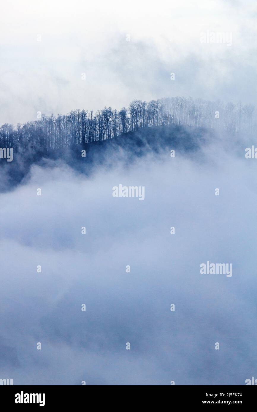 Winter and mist reveal the bare bones of trees line of mountains at the ...