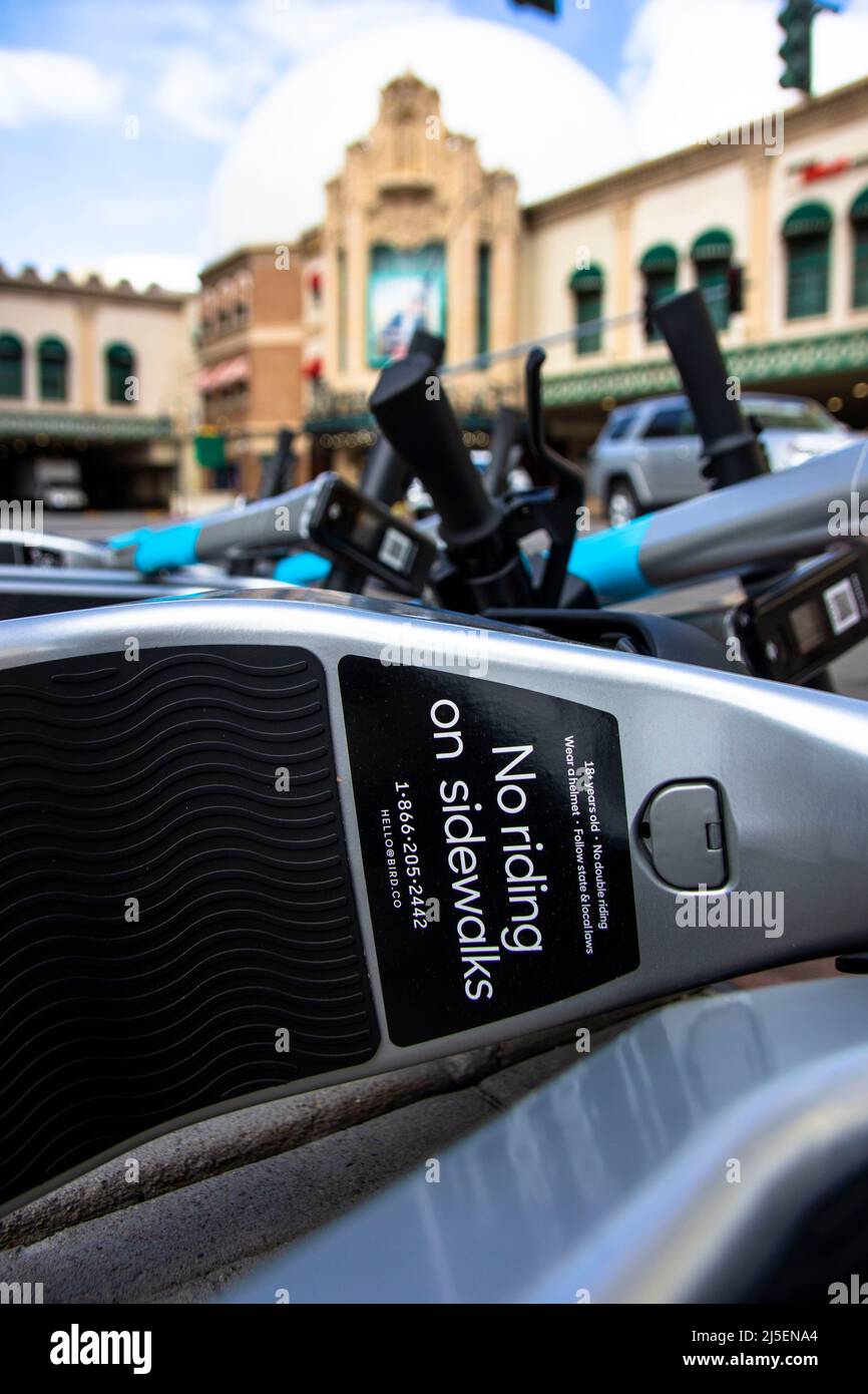 A sticker saying "no riding on sidewalks". Bird plans to launch 250 e ...