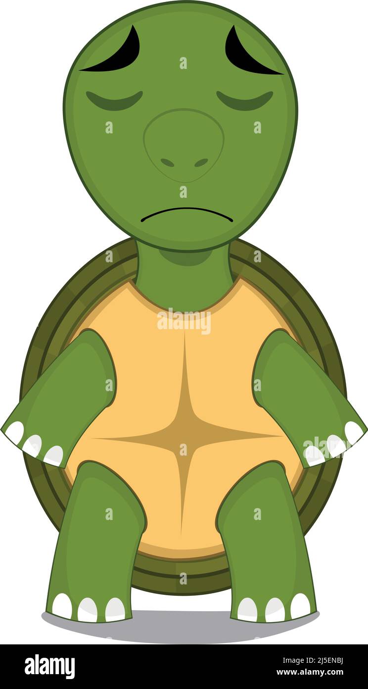 Vector character illustration of a cartoon turtle with a sad expression ...