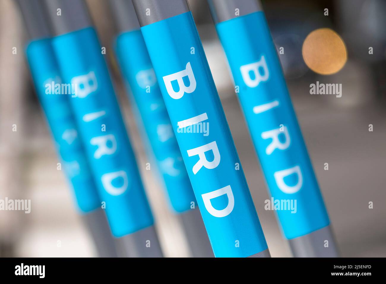 Live bird transport hi-res stock photography and images - Alamy