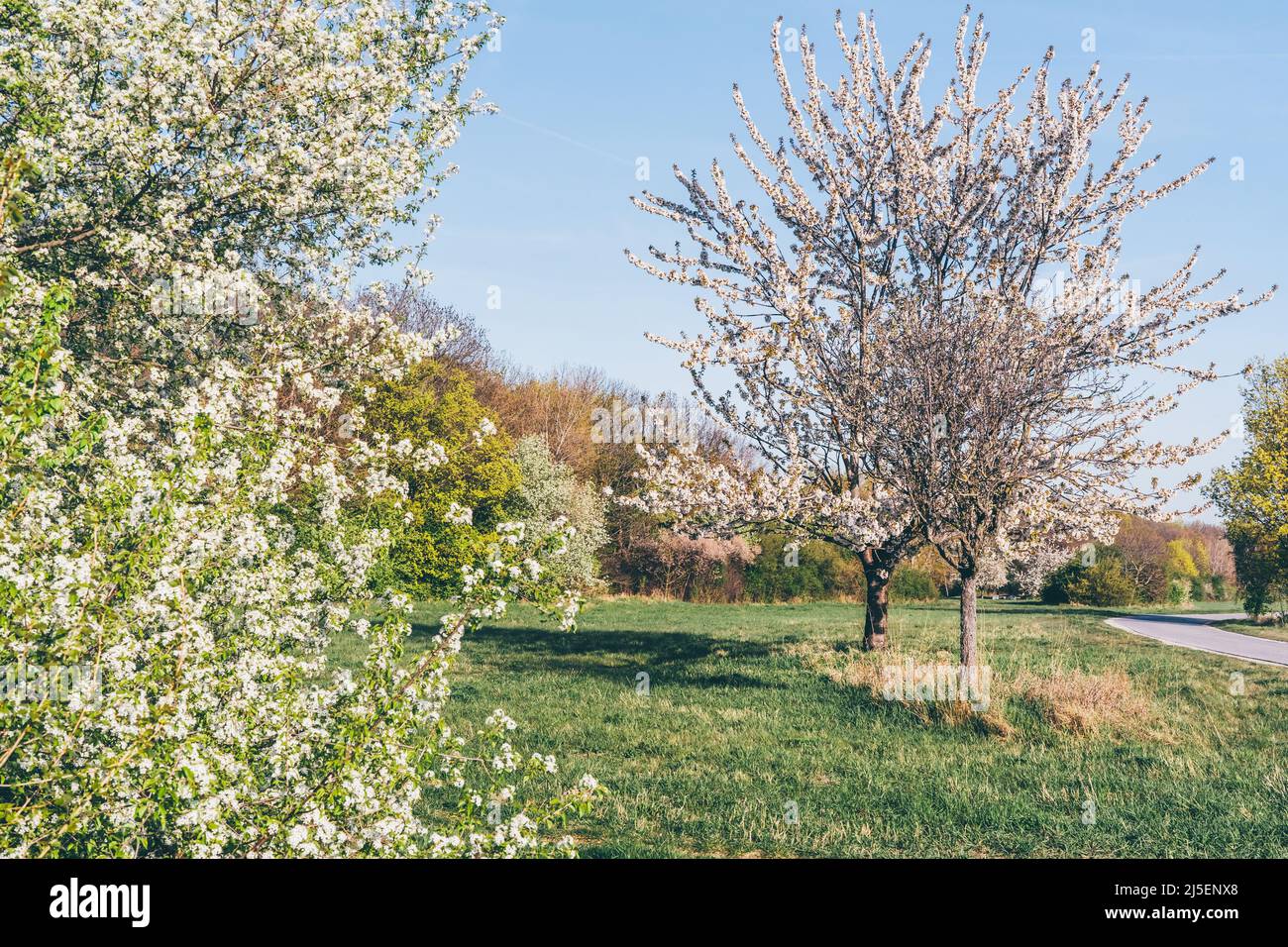 Spring nature travel walk hi-res stock photography and images - Alamy