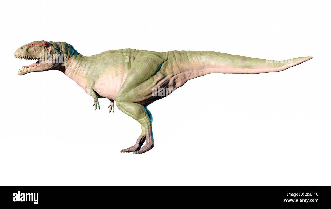 Artwork of Giganotosaurus Stock Photo - Alamy