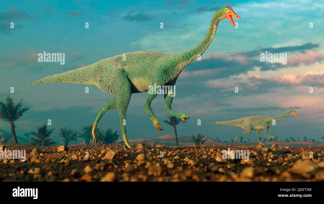Artwork of dinosaur Gallimimus Stock Photo - Alamy