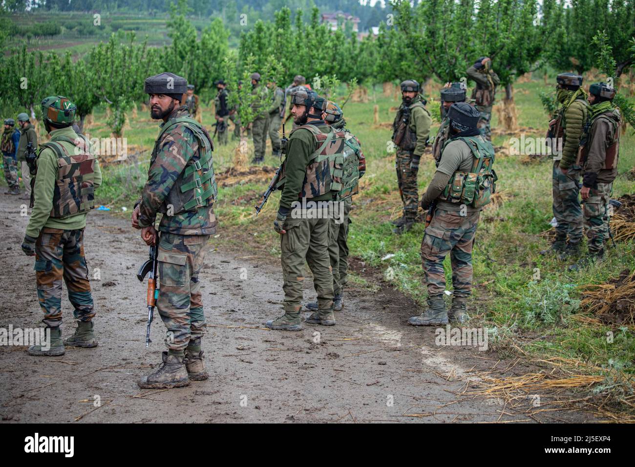 Malwah area hi-res stock photography and images - Alamy