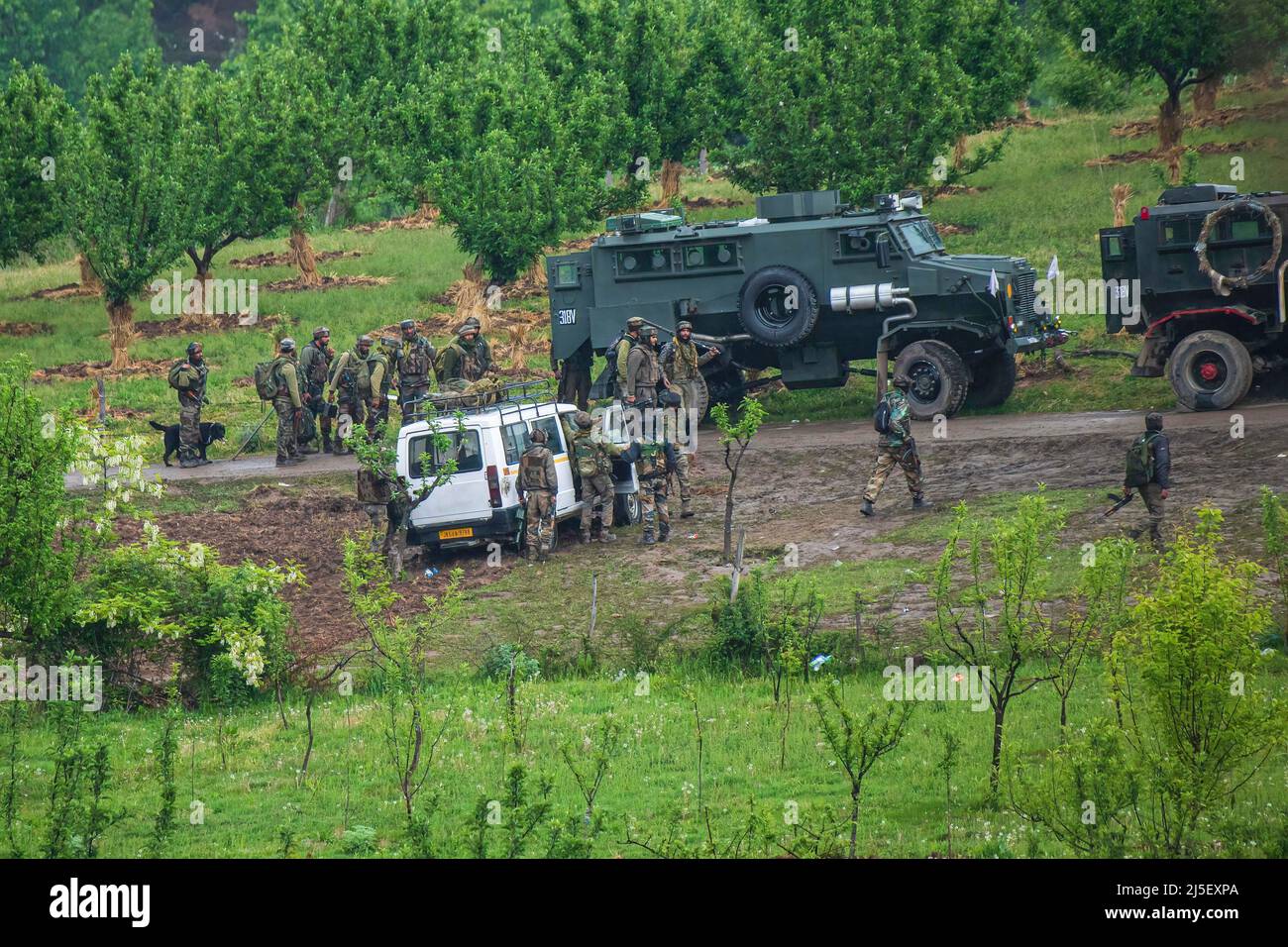 Malwah area hi-res stock photography and images - Alamy