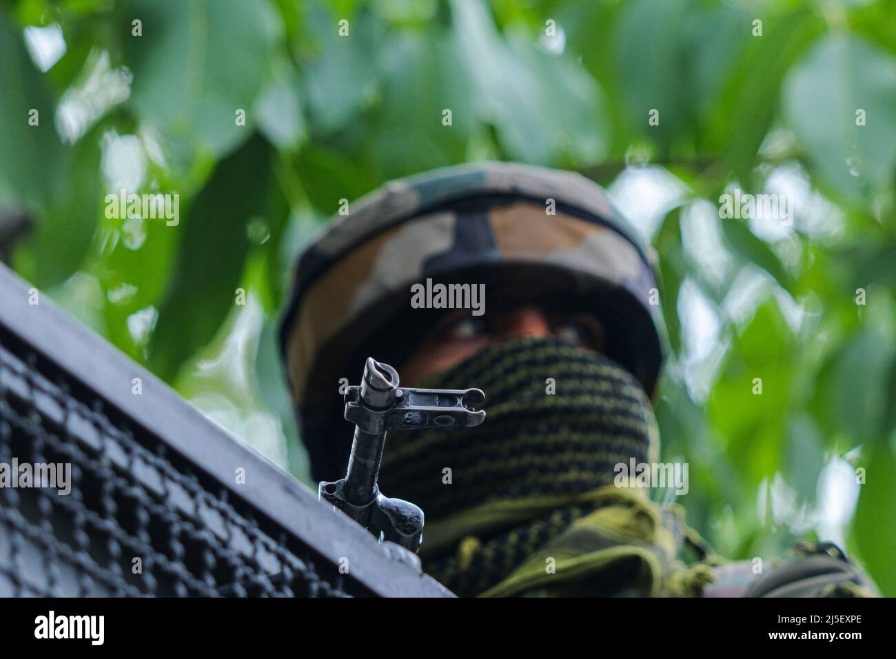 Malwah area hi-res stock photography and images - Alamy