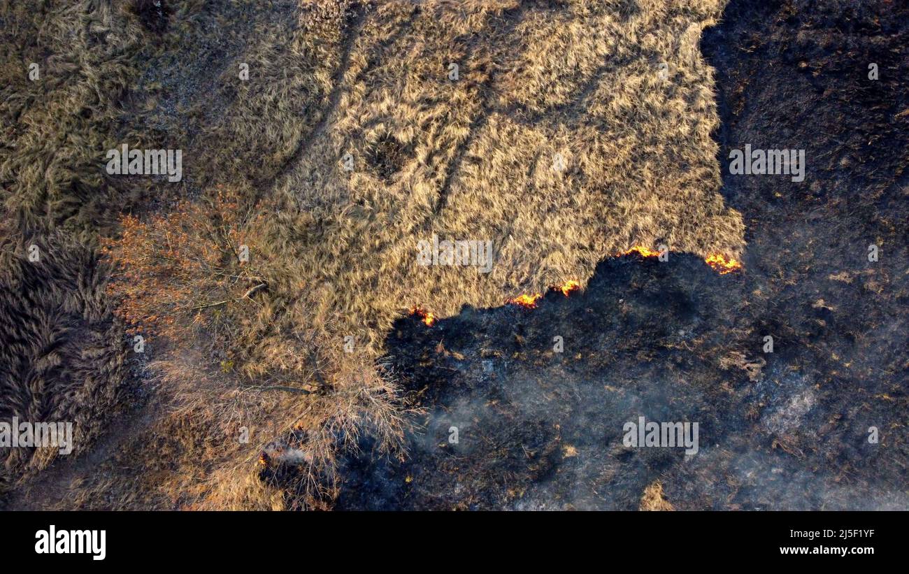 Aerial Drone View Over Burning dry grass and smoke in field. Flame and ...