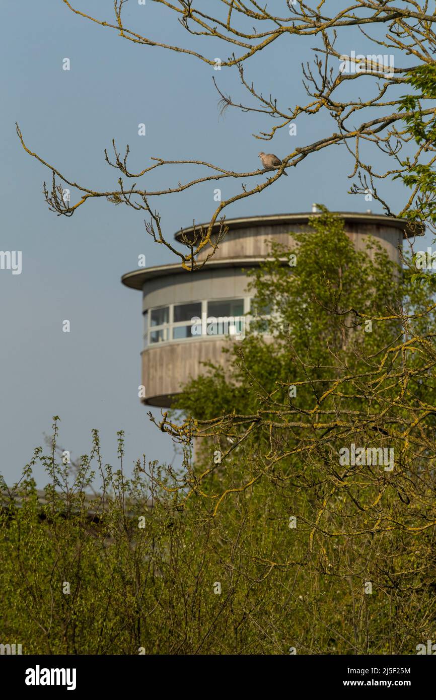 The Observatory Tower at Slimbridge, Gloucestershire. UK Stock Photo ...