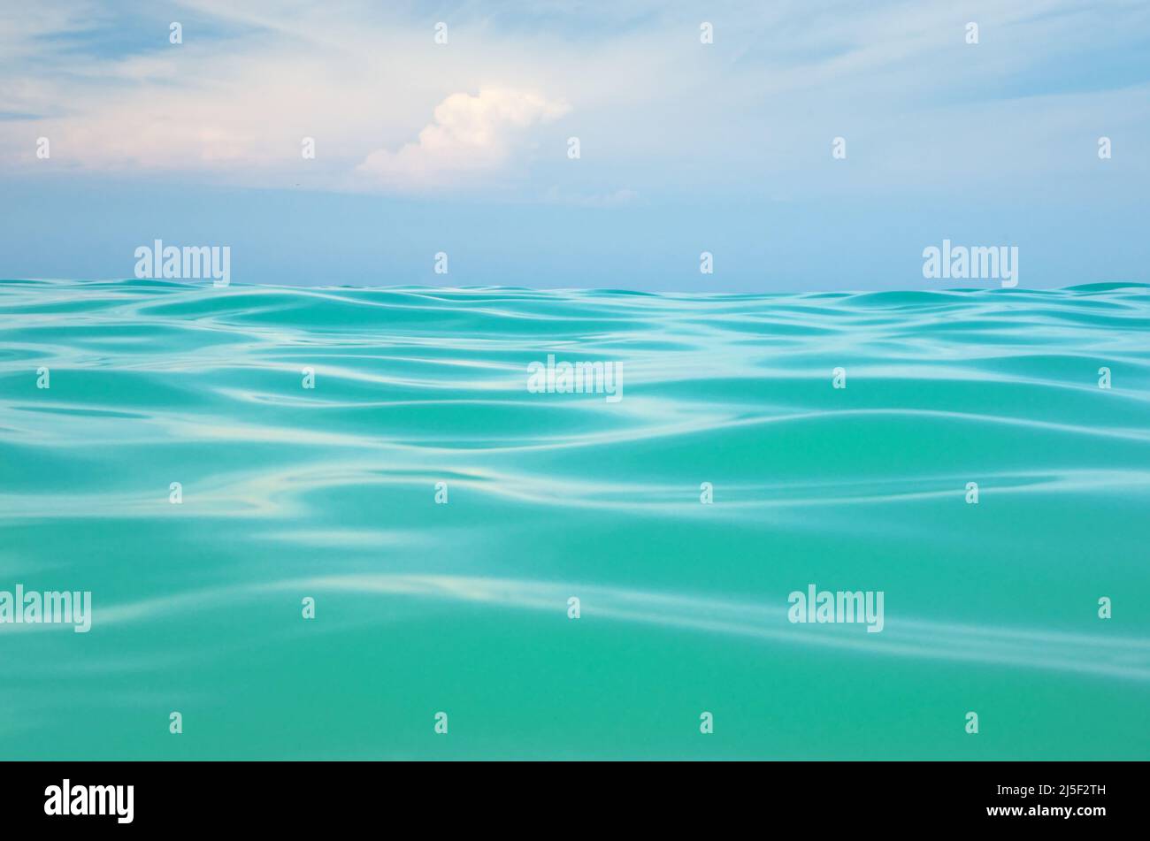 Sea wave close up, low angle view water and sky background Stock Photo ...