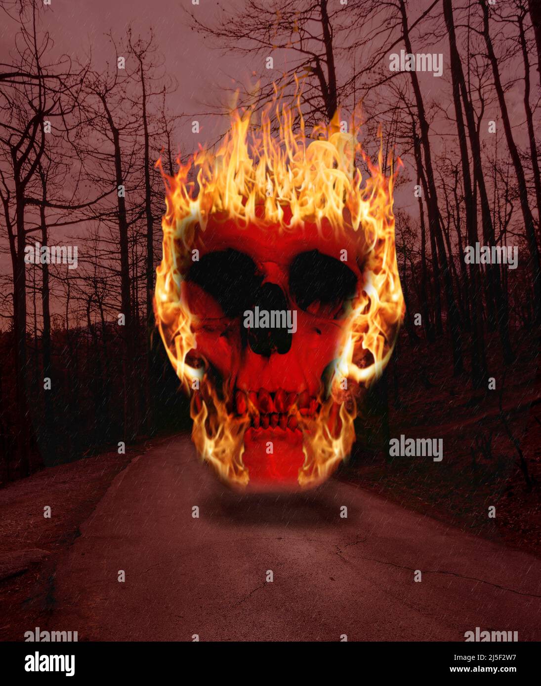 Burning skull at burned forest road in Attica, Greece. Photomontage ...