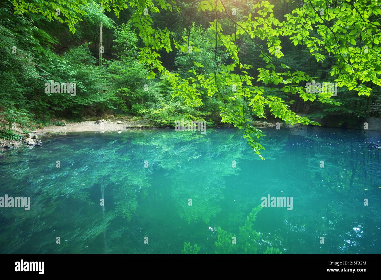 Forest and calm blue lake. Deep natural landscape Stock Photo - Alamy