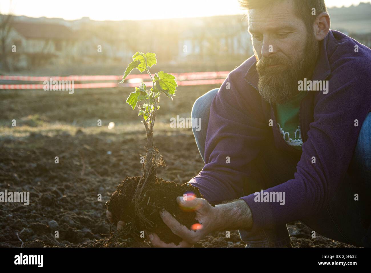Man planting a tree earth day. Planting a tree in springtime new life ...